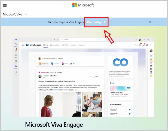 Yammer là gì? Tất tần tật những kiến thức cần biết về Yammer